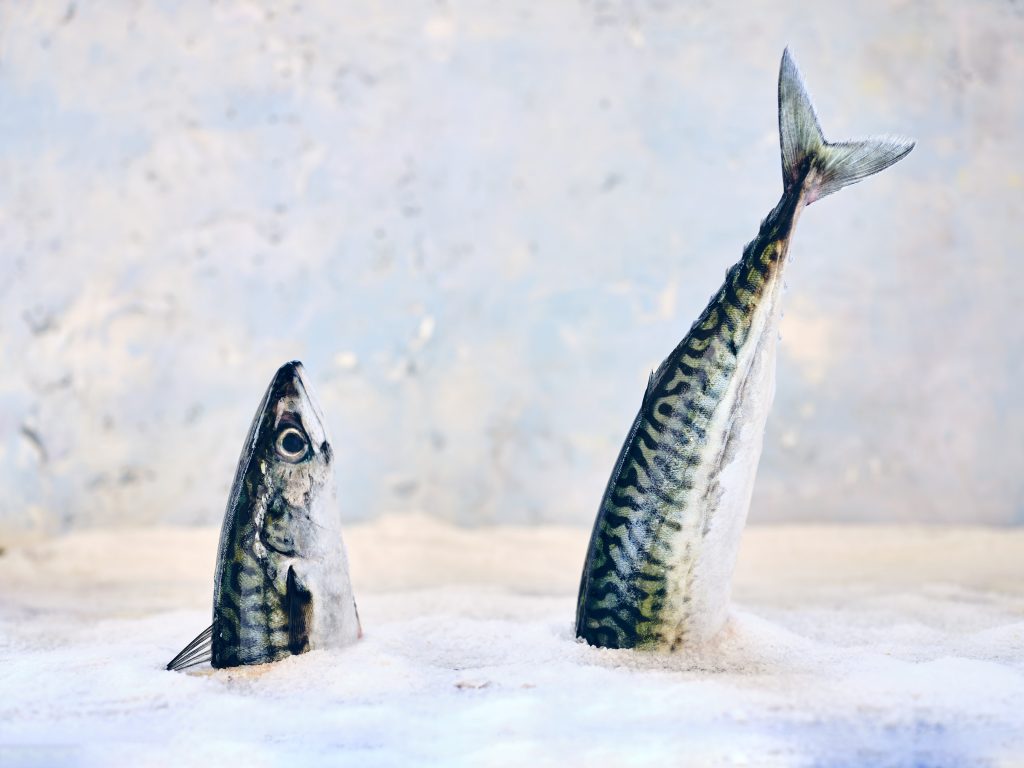 Cornwall Place Board | Promoting Cornwall | A Great Place To Live & Work