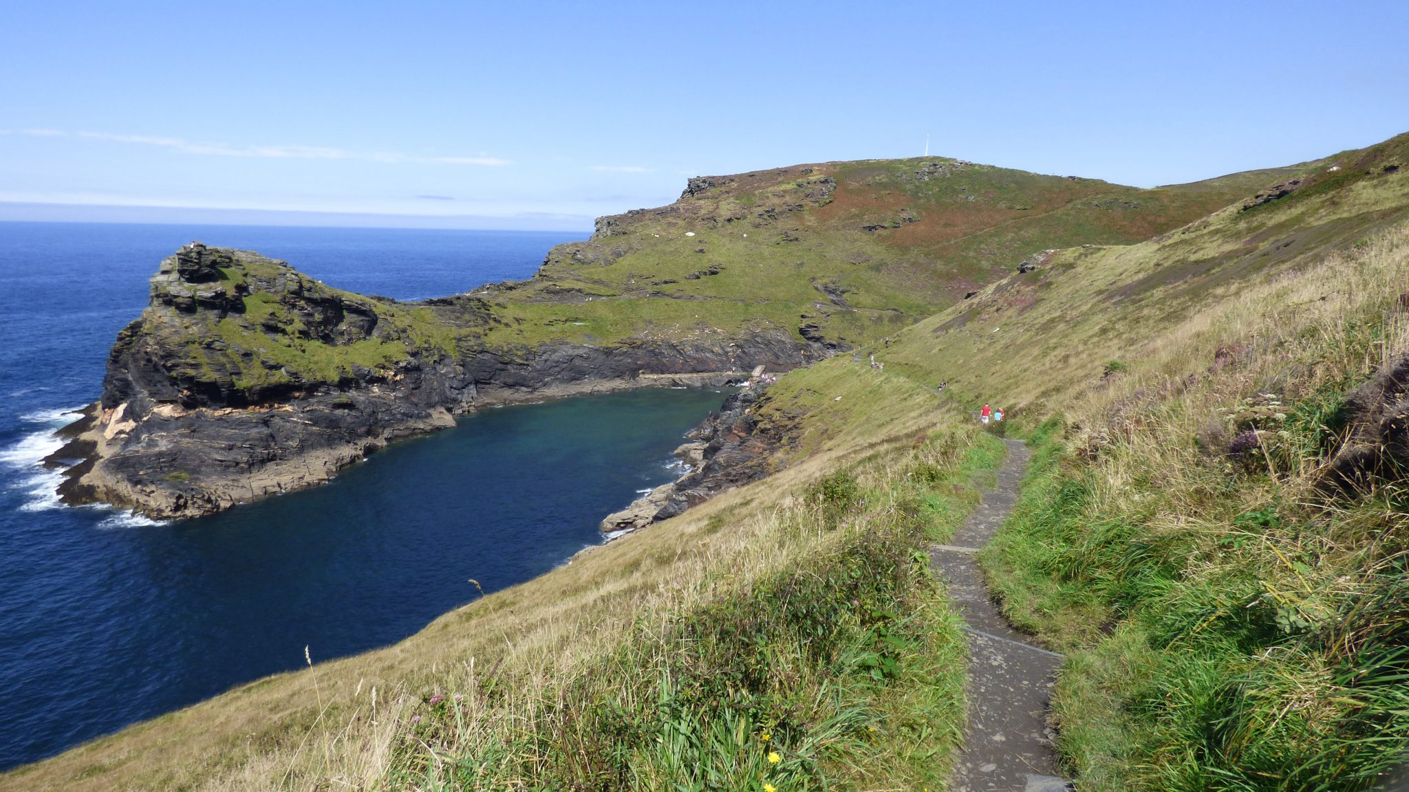 Wildlife in Cornwall | An Introduction To Wildlife In Cornwall